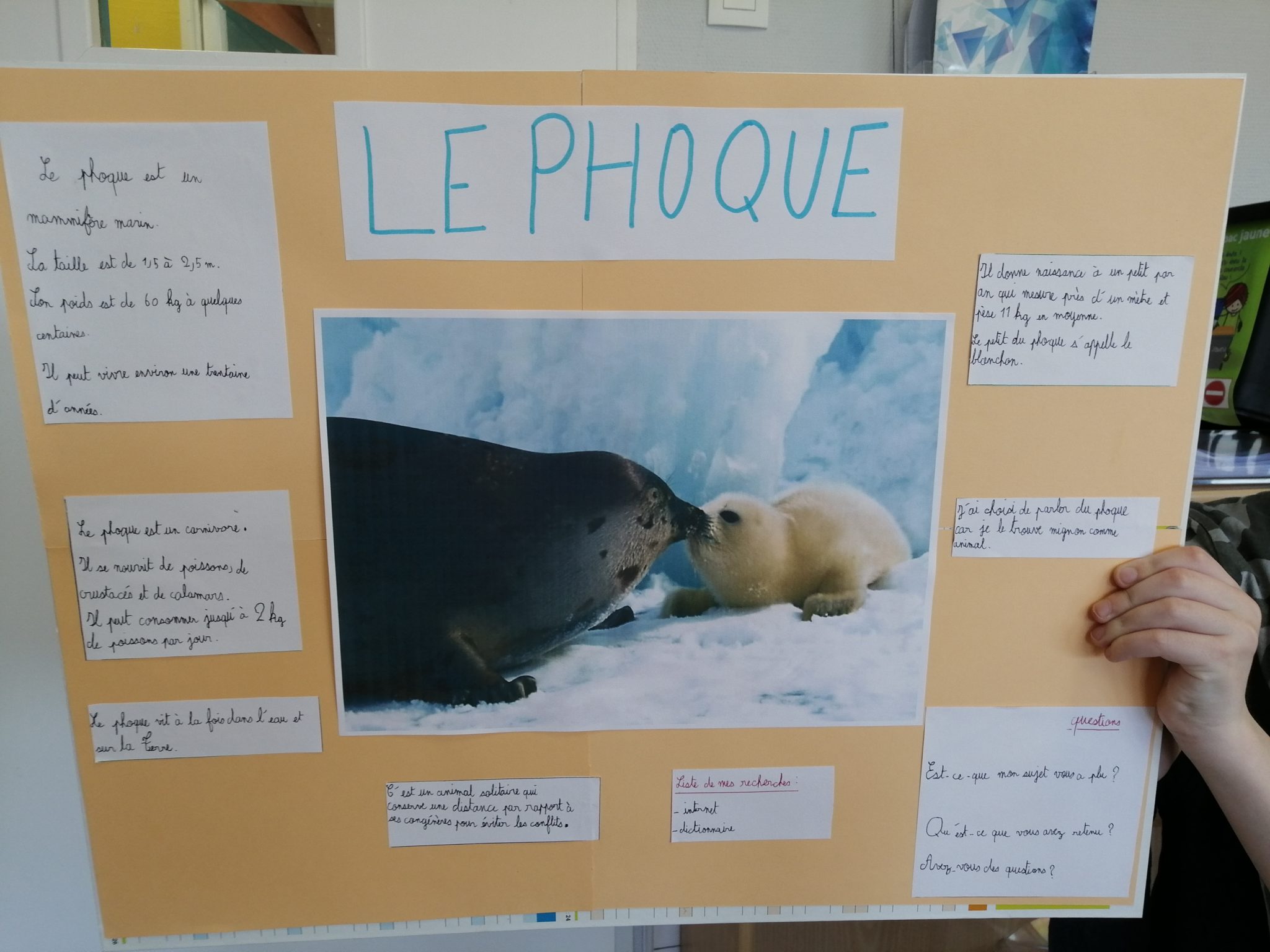 Des exposés sur les animaux en CE2-CM1 – Ecole Sacré-Coeur Plougonvelin