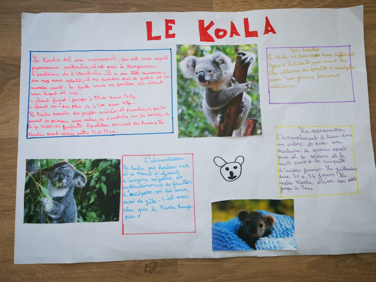 Des exposés sur les animaux en CE2-CM1 – Ecole Sacré-Coeur Plougonvelin